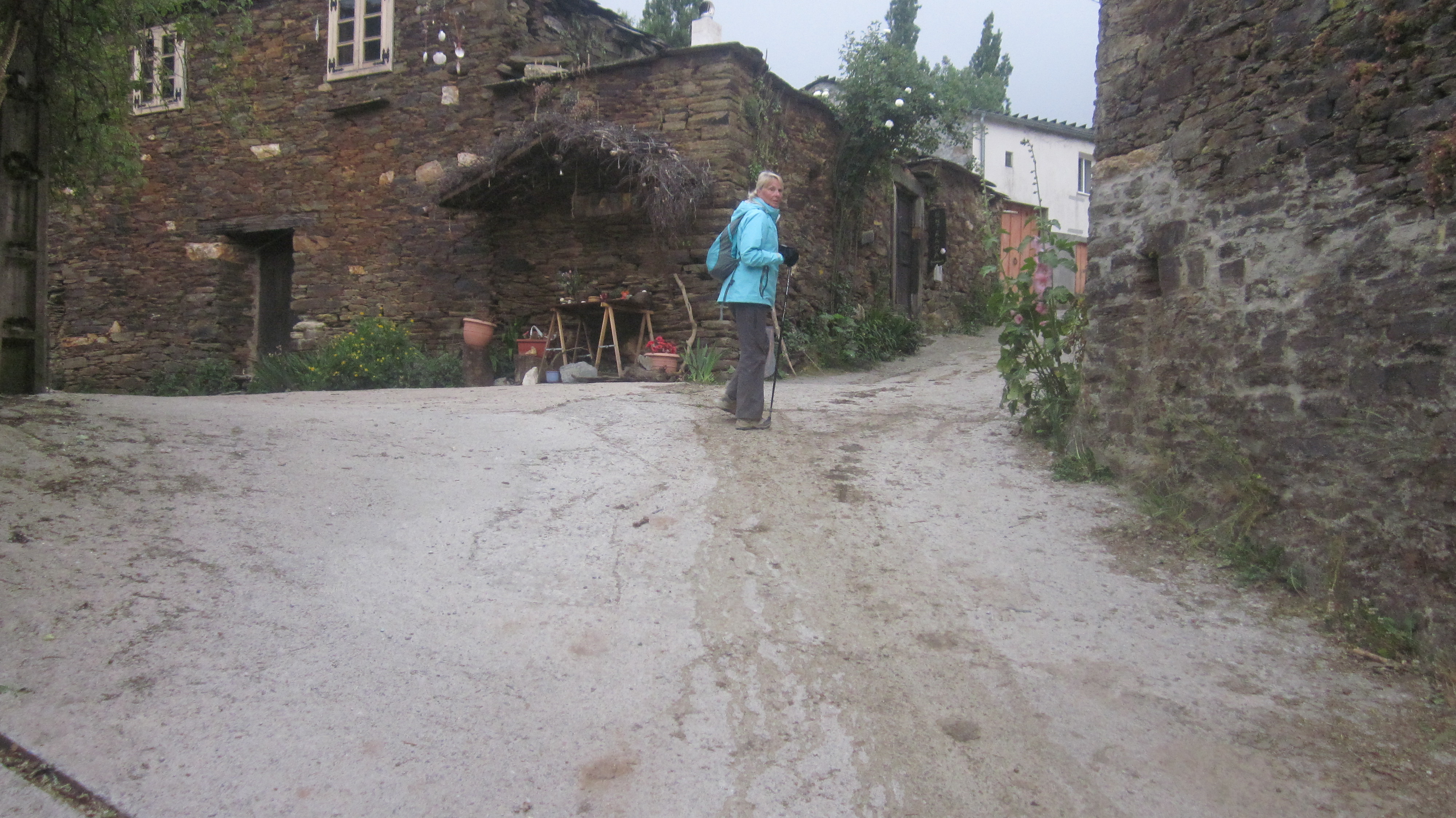 Img 6440 Will To Walk